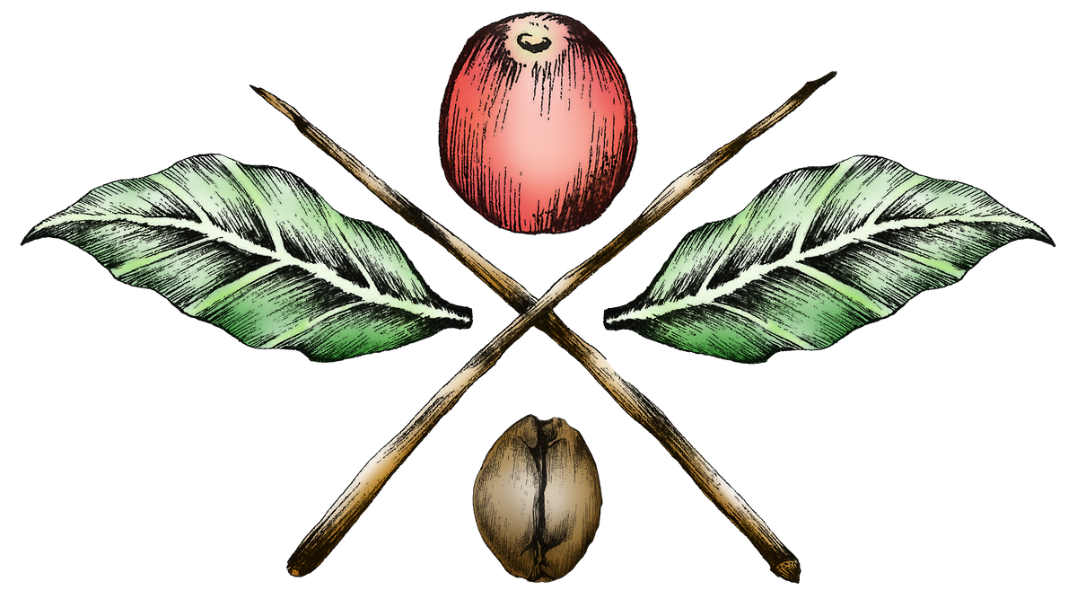 Our solar assisted 20kg Typhoon Coffee Roaster – Tagged "coffeeshop ...